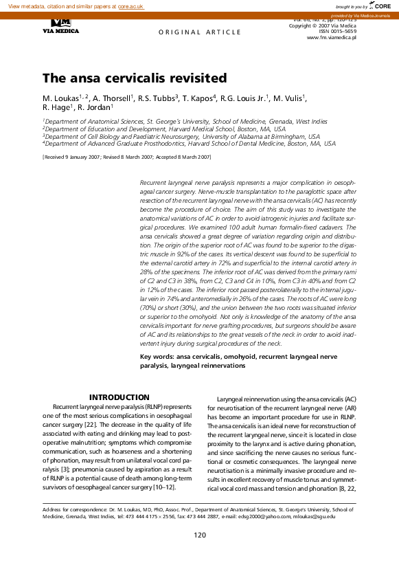 (PDF) The ansa cervicalis revisited | Dr. Robert Louis - Academia.edu