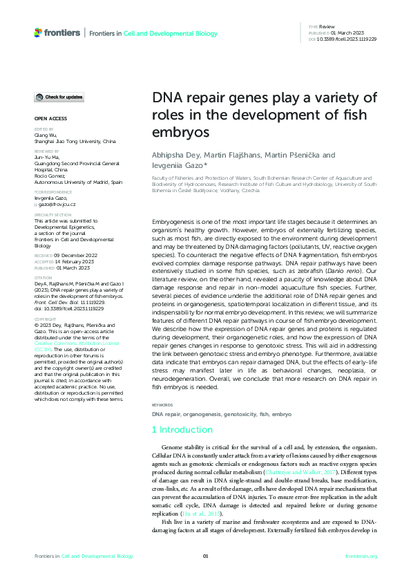 (PDF) DNA repair genes play a variety of roles in the development of ...