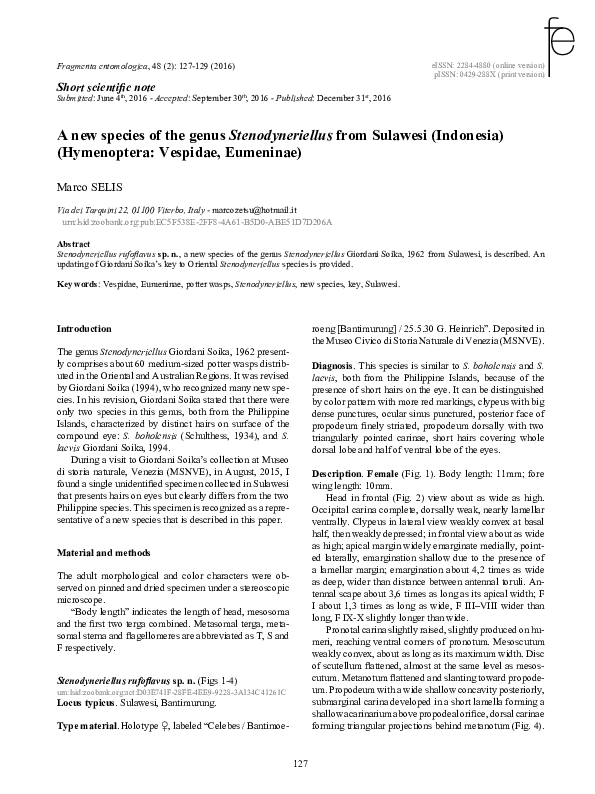 (PDF) A new species of the genus Stenodyneriellus from Sulawesi (Indonesia) (Hymenoptera ...