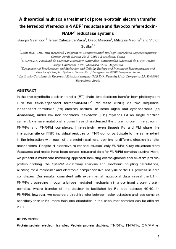 (PDF) A theoretical multiscale treatment of protein–protein electron ...