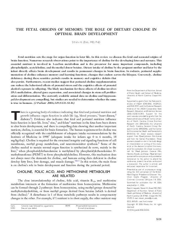 (PDF) The fetal origins of memory: The role of dietary choline in ...