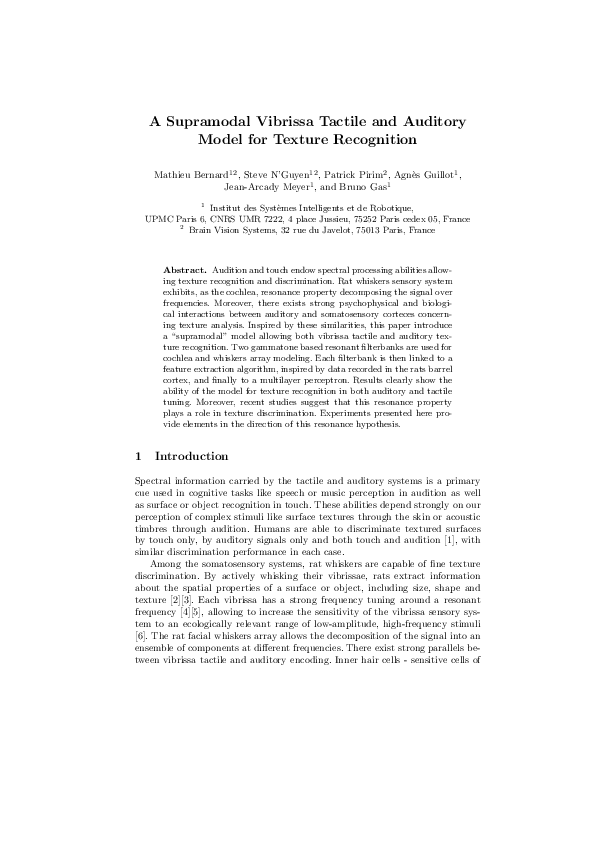 (PDF) A Supramodal Vibrissa Tactile and Auditory Model for Texture Recognition