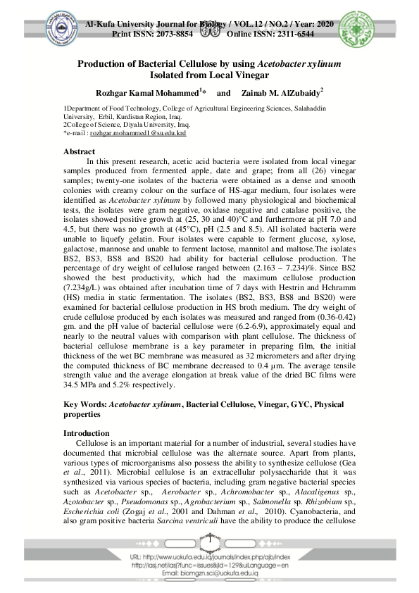 Pdf Production Of Bacterial Cellulose By Using Acetobacter Xylinum Isolated From Local Vinegar