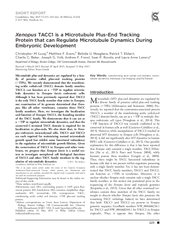 (PDF) Xenopus TACC1 is a microtubule plus‐end tracking protein that can ...