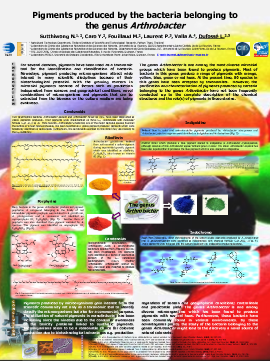 (PDF) Pigments Produced by the Bacteria Belonging to the Genus Arthrobacter