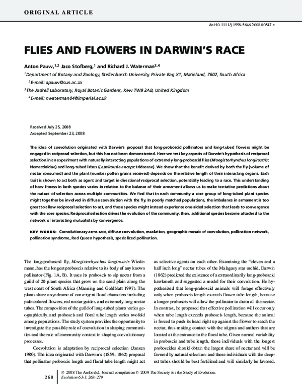 (PDF) Flies and Flowers in Darwin's Race