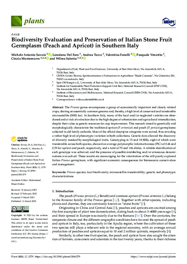 (PDF) Biodiversity Evaluation and Preservation of Italian Stone Fruit ...