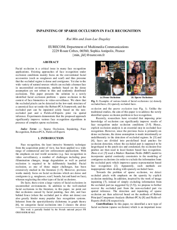 (PDF) Inpainting of sparse occlusion in face recognition