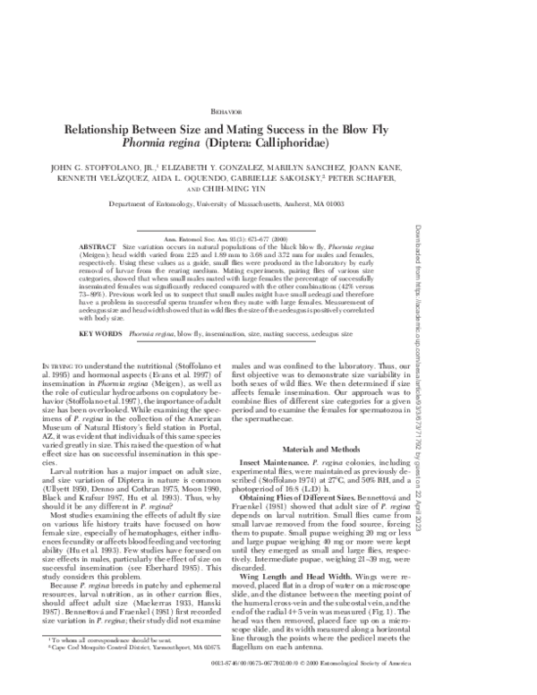 (PDF) Relationship Between Size and Mating Success in the Blow Fly ...