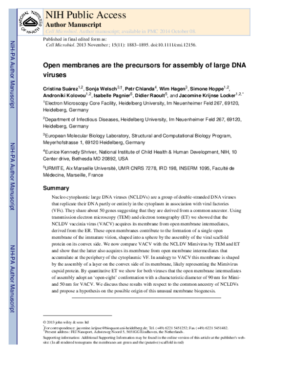 (PDF) Open membranes are the precursors for assembly of large DNA viruses