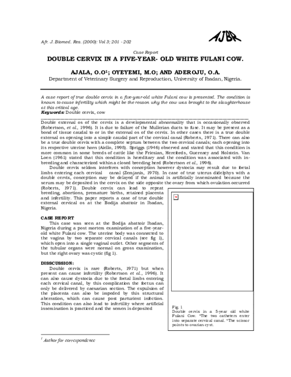 (PDF) Double cervix in a five-year-old white Fulami cow | Matthew ...