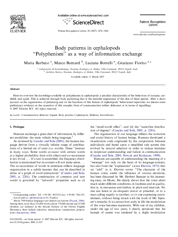 (PDF) Body patterns in cephalopods | marco bernard - Academia.edu
