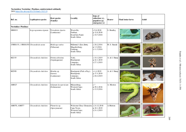 Subfamily Noctuinae , Revised higher classification of the Noctuoidea ...