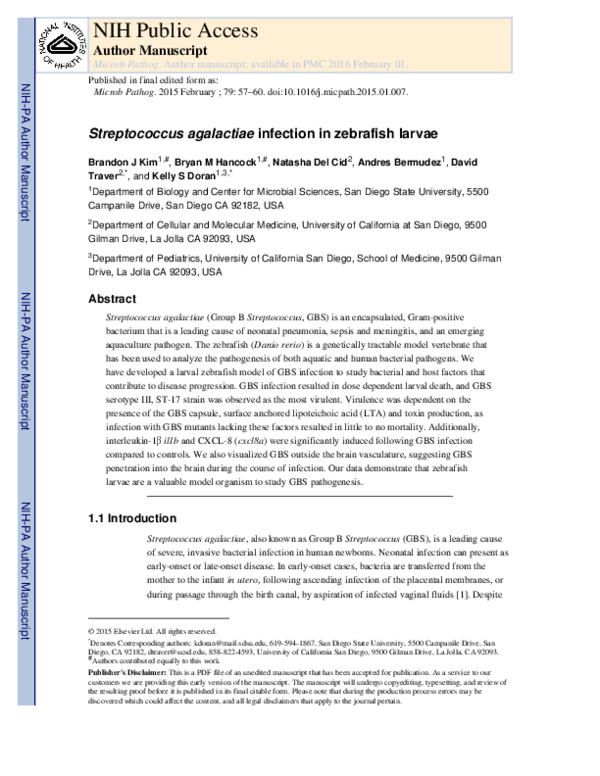 (PDF) Streptococcus agalactiae infection in zebrafish larvae