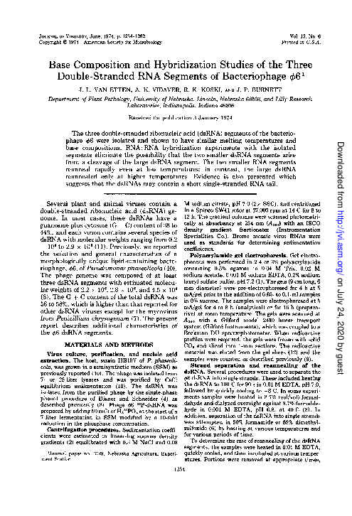 (PDF) Base Composition and Hybridization Studies of the Three Double ...
