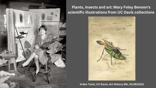 (PDF) Plants, insects and art: Mary Foley Benson's scientific ...