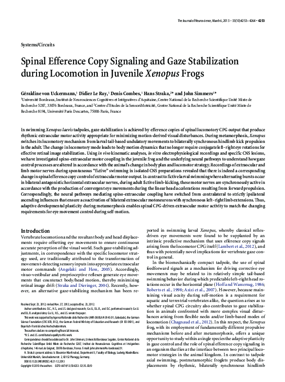 (PDF) Spinal Efference Copy Signaling and Gaze Stabilization during ...
