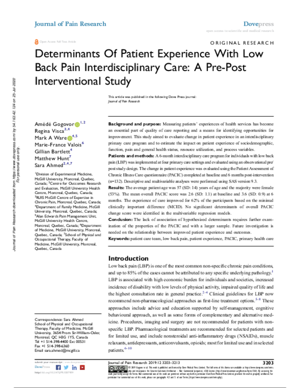 (PDF) Determinants Of Patient Experience With Low Back Pain ...