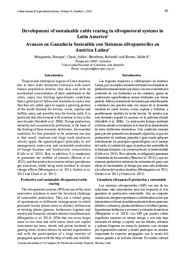 (PDF) Development of sustainable cattle rearing in silvopastoral ...