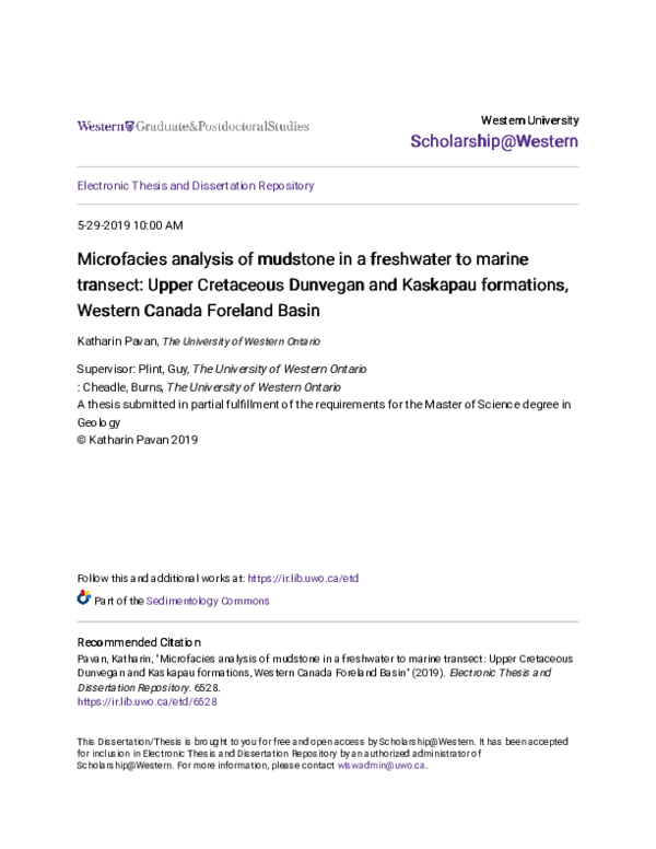 (PDF) Microfacies analysis of mudstone in a freshwater to marine ...