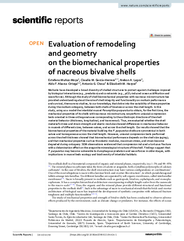 (PDF) Evaluation of remodeling and geometry on the biomechanical ...
