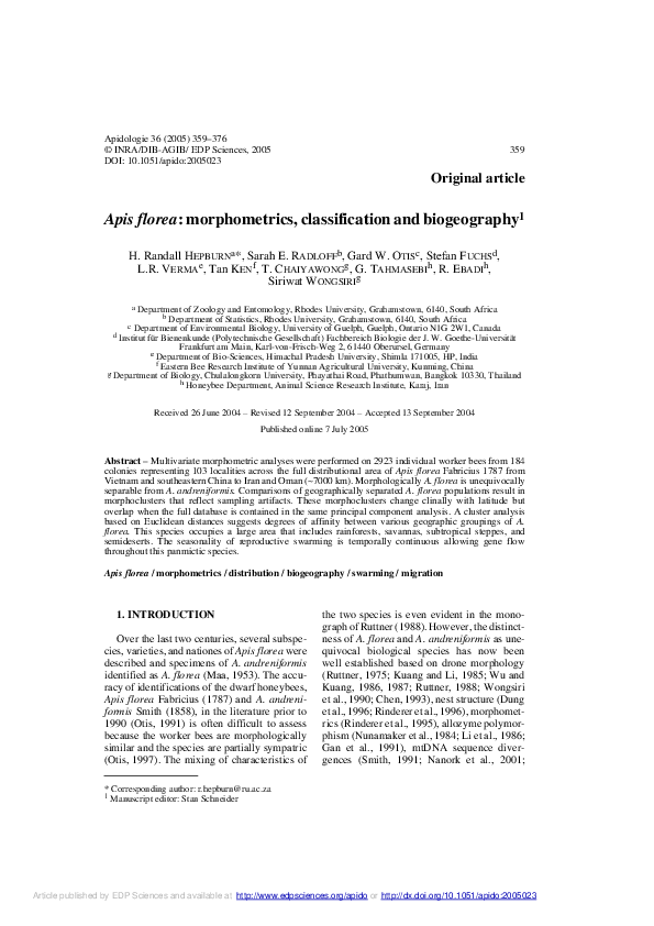 (PDF) Apis florea: morphometrics, classification and biogeography