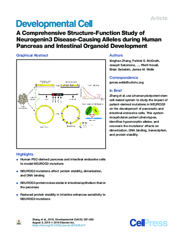 (PDF) A Comprehensive Structure-Function Study of Neurogenin3 Disease ...