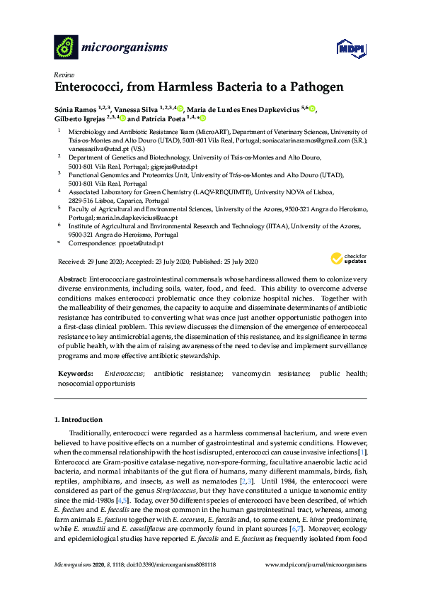 (PDF) Enterococci, from Harmless Bacteria to a Pathogen