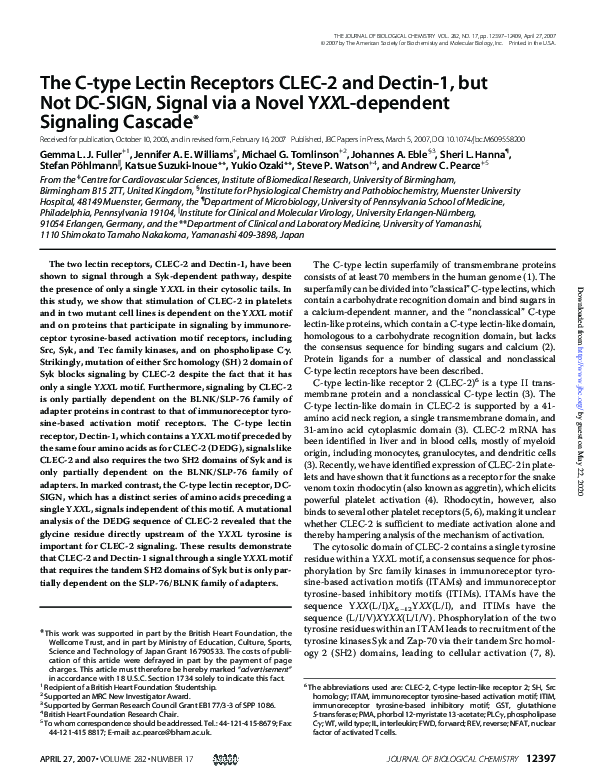 (PDF) The C-type Lectin Receptors CLEC-2 and Dectin-1, but Not DC-SIGN ...