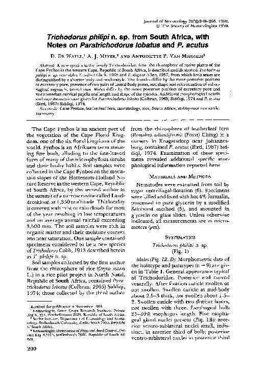 (PDF) Trichodorus philipi n. sp. from South Africa, with Notes on ...