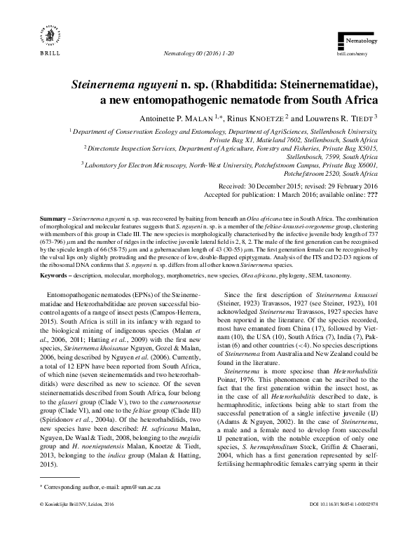 (PDF) Steinernema nguyeni n. sp. (Rhabditida: Steinernematidae), a new entomopathogenic nematode ...