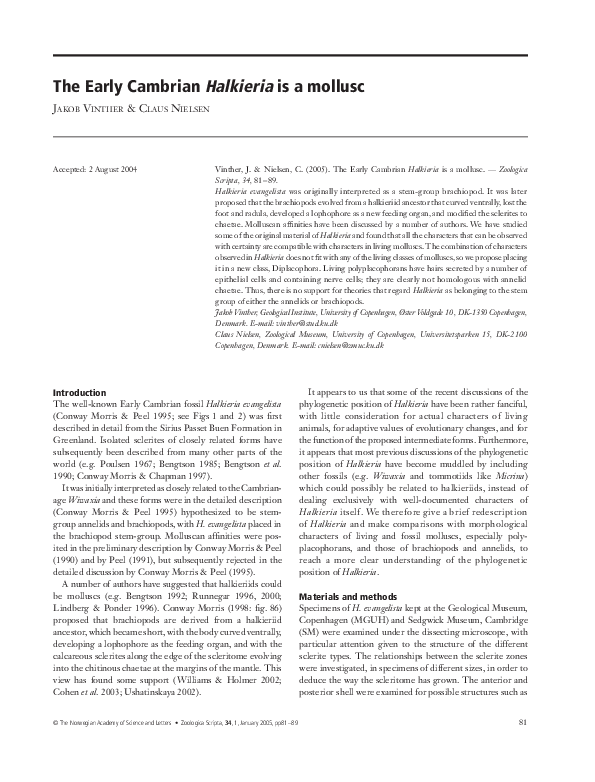 (PDF) The Early Cambrian Halkieria is a mollusc
