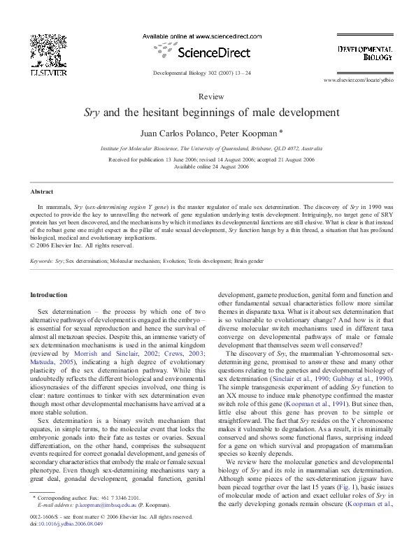 (PDF) Sry and the hesitant beginnings of male development