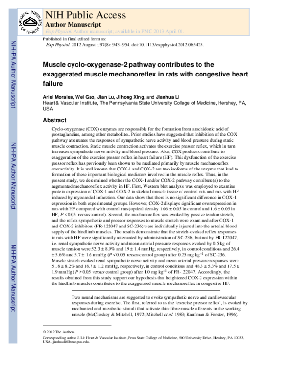 (PDF) COX-2's Role in Muscle Reflex in Heart Failure