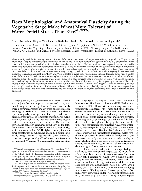 (PDF) Does Morphological and Anatomical Plasticity during the ... (PDF) Does Morphological and Anatomical Plasticity during the ...