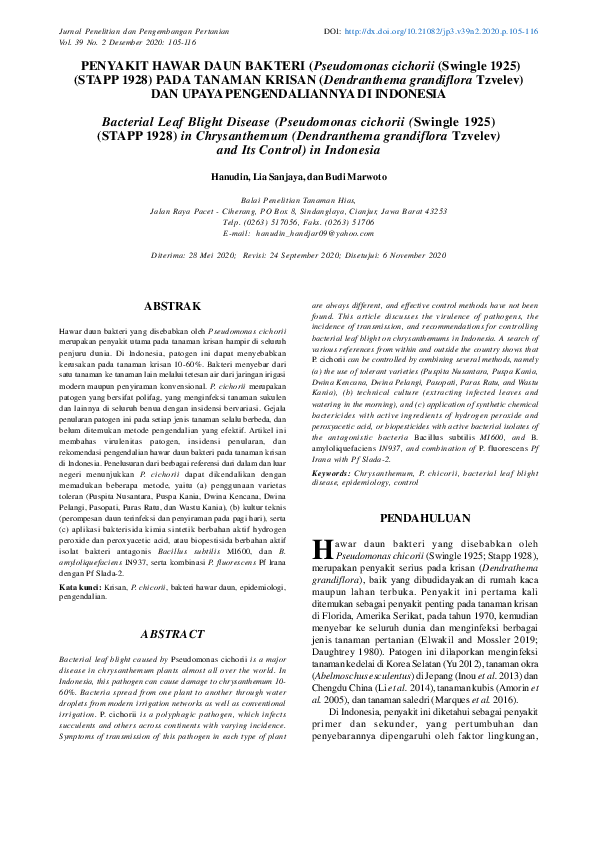 (PDF) Bacterial Leaf Blight Disease (Pseudomonas cichorii (Swingle 1925 ...