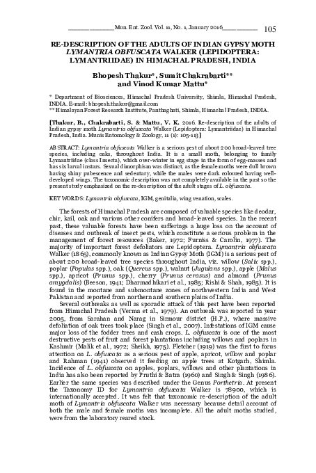 (PDF) Re-Description of the Adults of Indian Gypsy Moth Lymantria ...