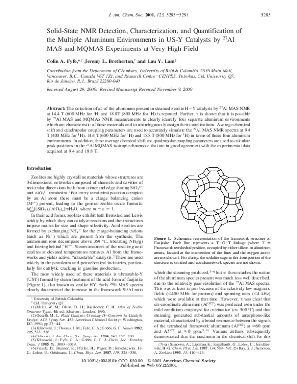 Pdf Solid State Nmr Detection Characterization And Quantification
