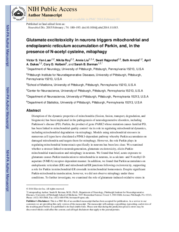 Glutamate excitotoxicity in neurons triggers mitochondrial and ...