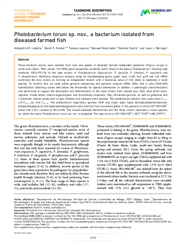 (PDF) Photobacterium toruni sp. nov., a bacterium isolated from ...