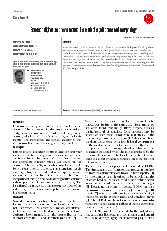 (PDF) Extensor digitorum brevis manus: Its clinical significance and ...
