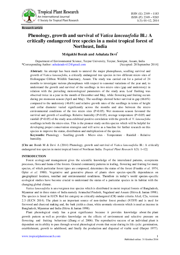 (PDF) Phenology, growth and survival of Vatica lanceaefolia Bl.: A ...