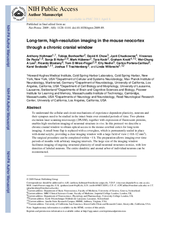 (PDF) Long-term, high-resolution imaging in the mouse neocortex through ...