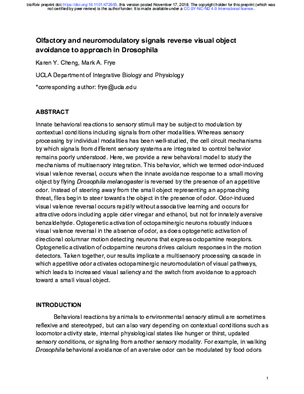 (PDF) Olfactory and neuromodulatory signals reverse visual object avoidance to approach in ...