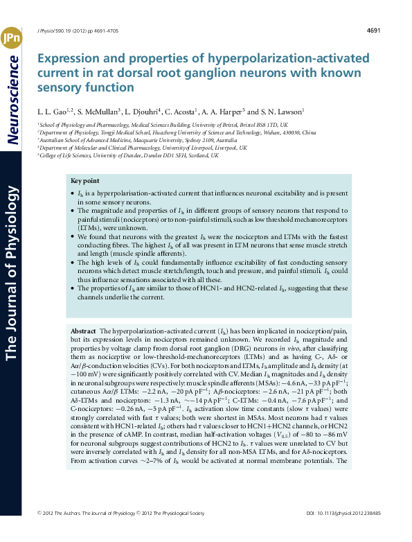 Pdf Expression And Properties Of Hyperpolarization‐activated Current In Rat Dorsal Root