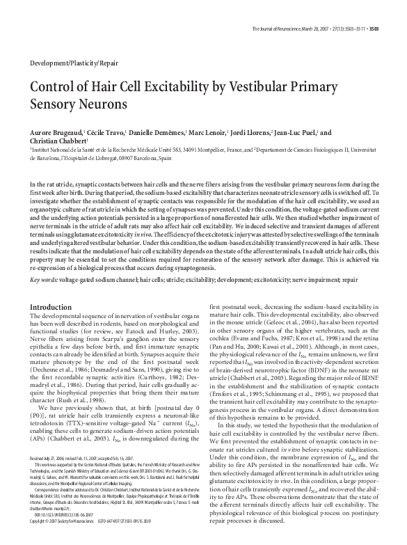 (PDF) Control of Hair Cell Excitability by Vestibular Primary Sensory ...