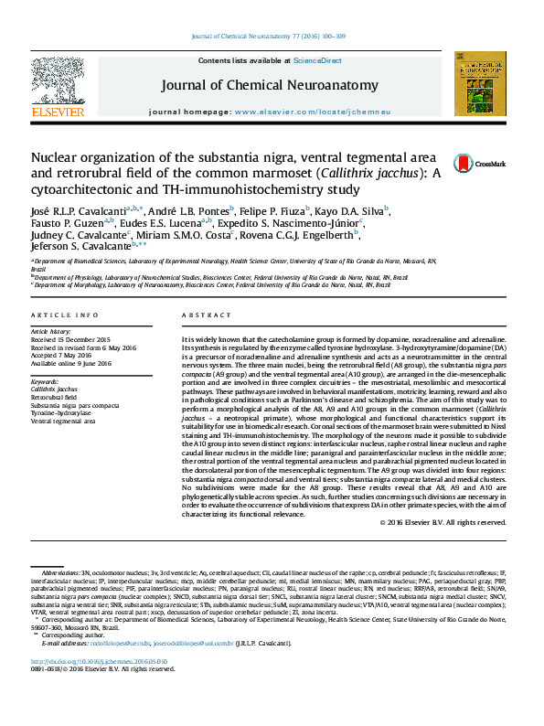(PDF) Nuclear organization of the substantia nigra, ventral tegmental ...