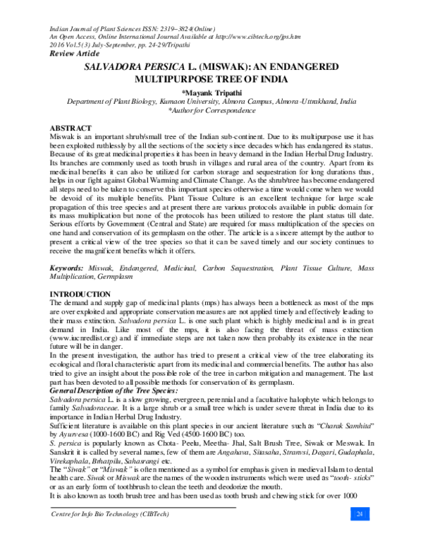 (PDF) SALVADORA PERSICA L. (MISWAK): AN ENDANGERED MULTIPURPOSE TREE OF ...