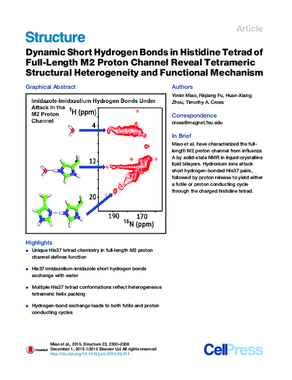 (PDF) Dynamic Short Hydrogen Bonds in Histidine Tetrad of Full-Length ...