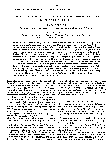 (PDF) Sporangiospore structure and germination in Dimargaritales